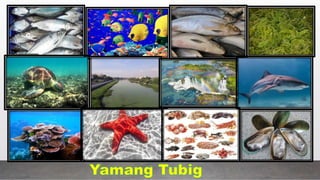 Mga Likas na Yaman at Produkto sa Aking Komunidad | PPTX