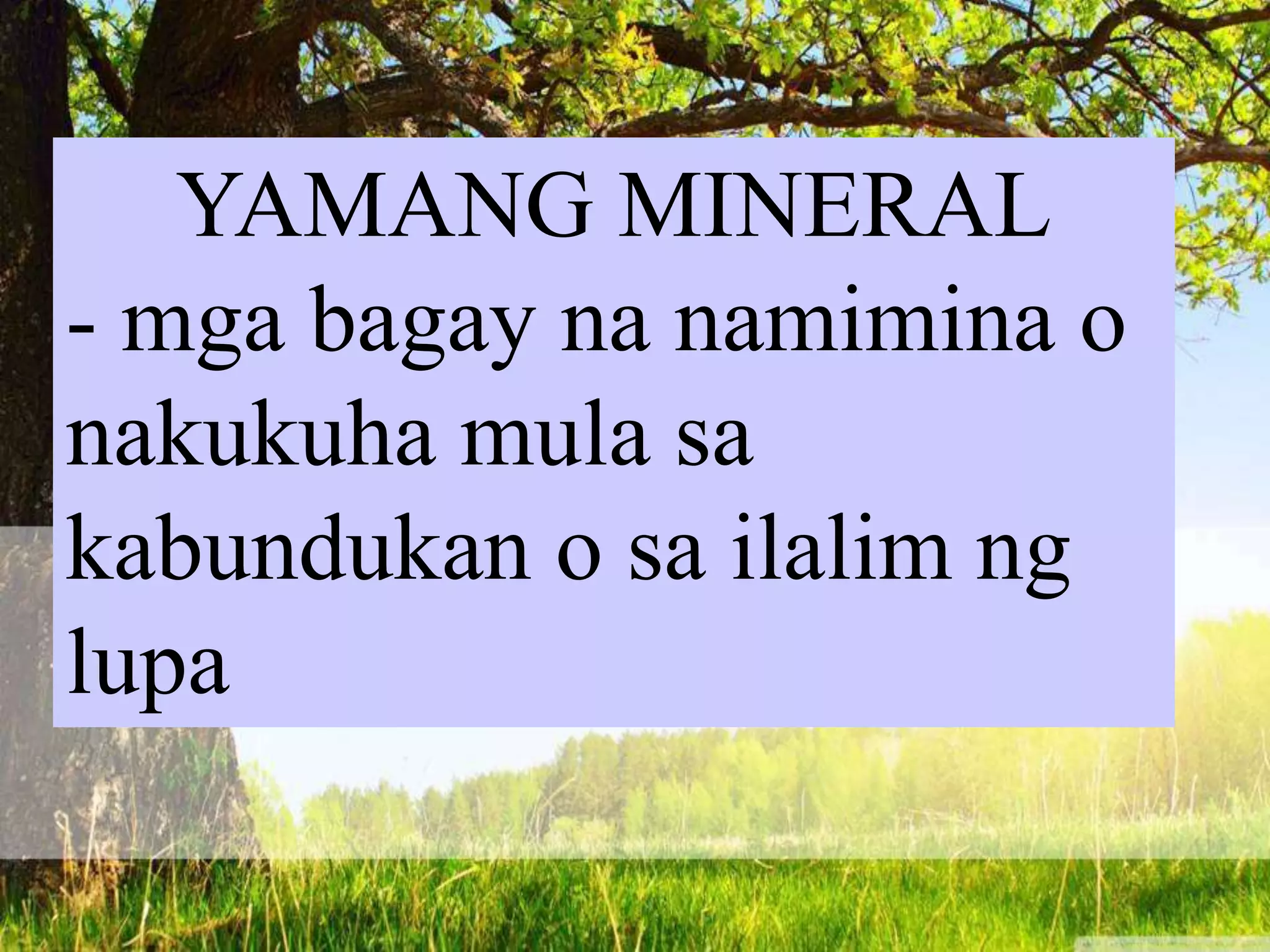 Mga likas na yaman | PPTX