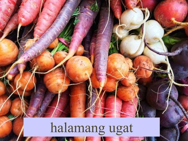 Mga likas na yaman | PPTX