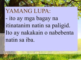 Yamang Lupa