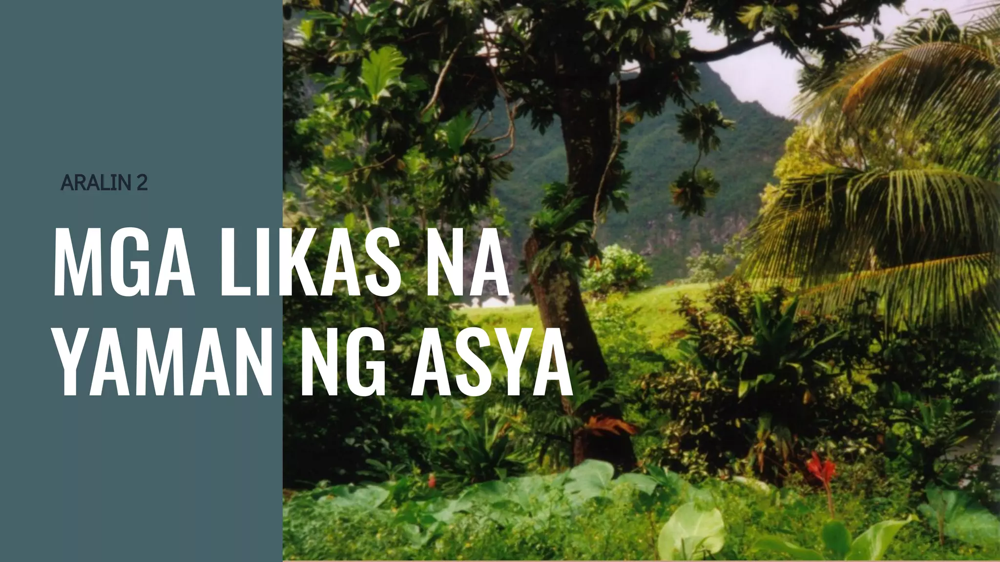 Mga Likas na Yaman ng Asya | PDF