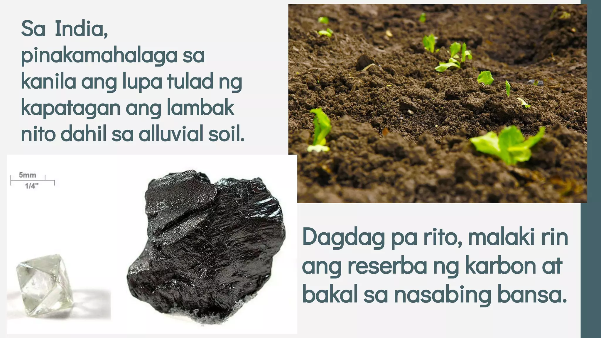Mga Likas na Yaman ng Asya | PDF