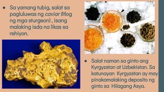 Mga Likas na Yaman ng Asya | PDF