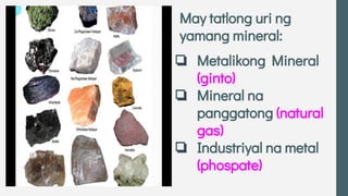 Yamang Mineral Ginto