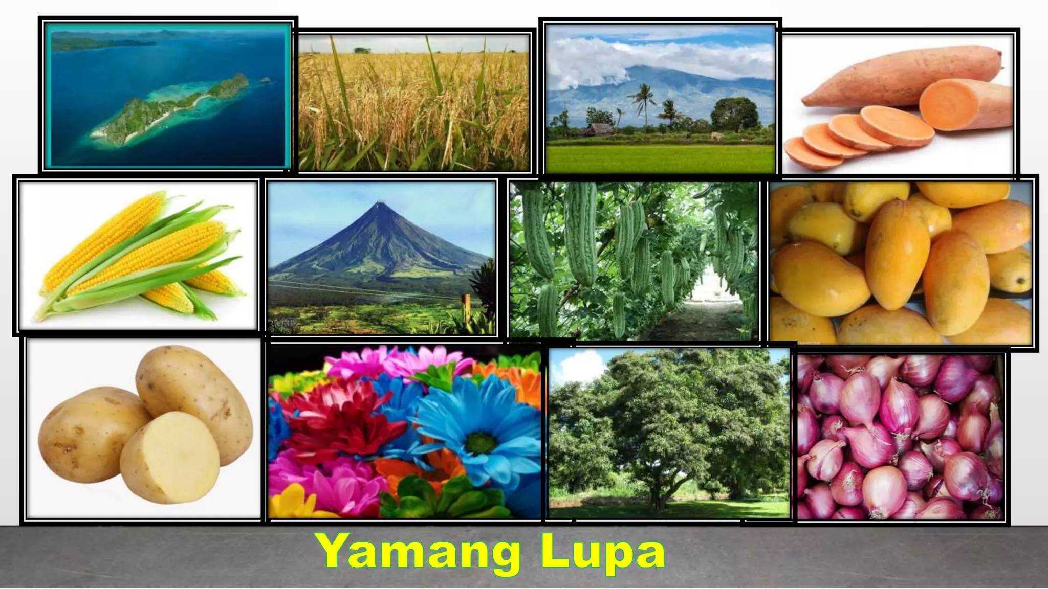 Mga Likas na Yaman ng Pilipinas | PPTX