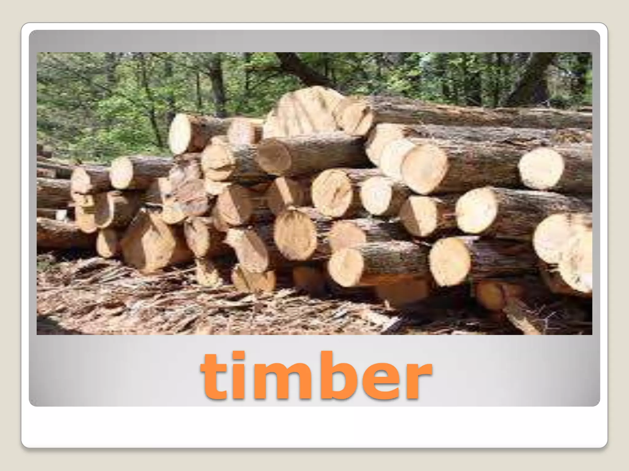 Mga likas na yaman ng timog asya | PPTX