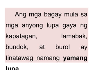 Mga Likas na Yaman sa Aking komunidad | PPTX