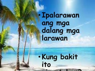 Mga magagandang tanawin at pook pasyalan bilang yamang likas | PPTX