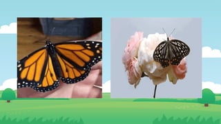 Mga Mananap sa atong Palibut - Kindergartenb 2.pptx