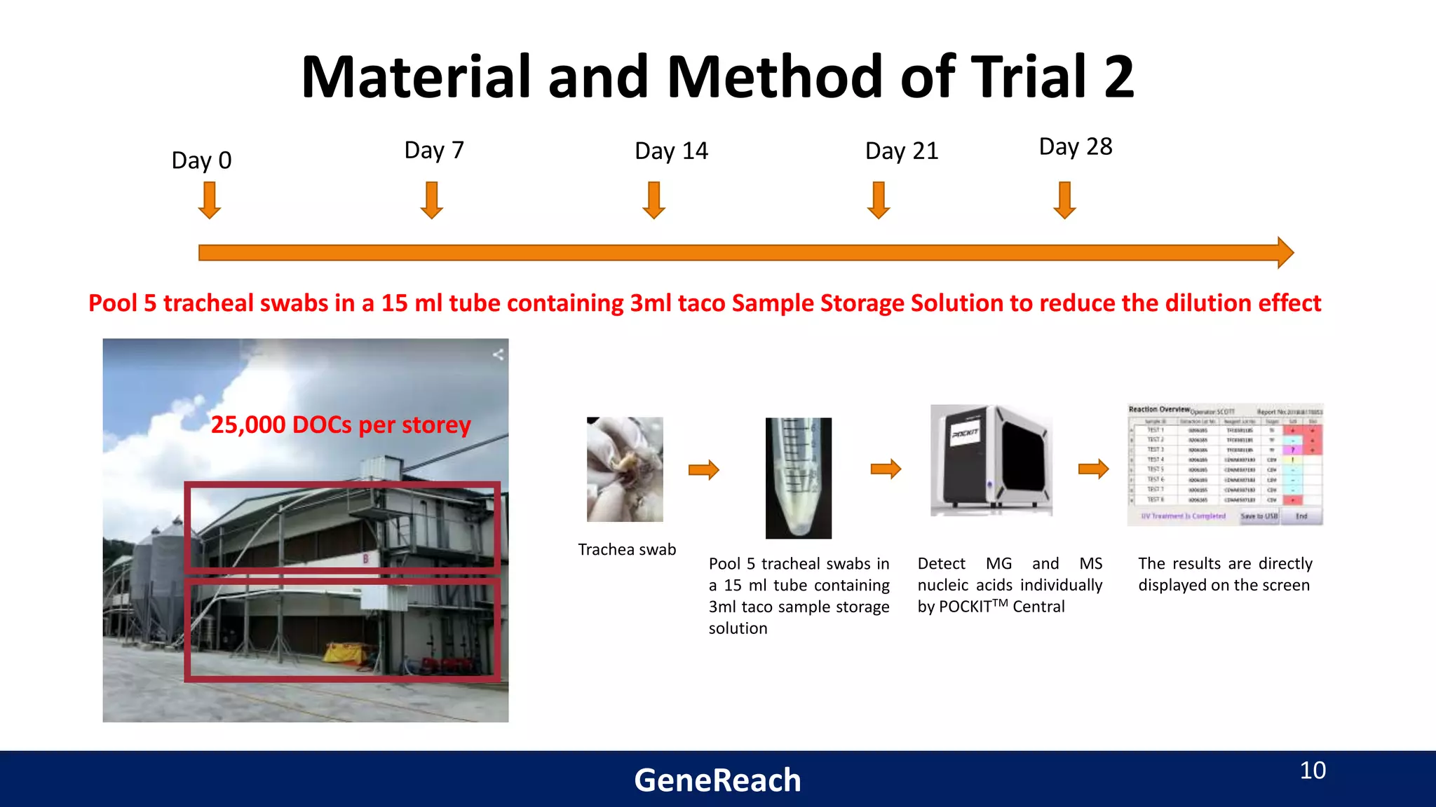 A Fully Automated POCKIT Central PCR System Detects Mycoplasma ...