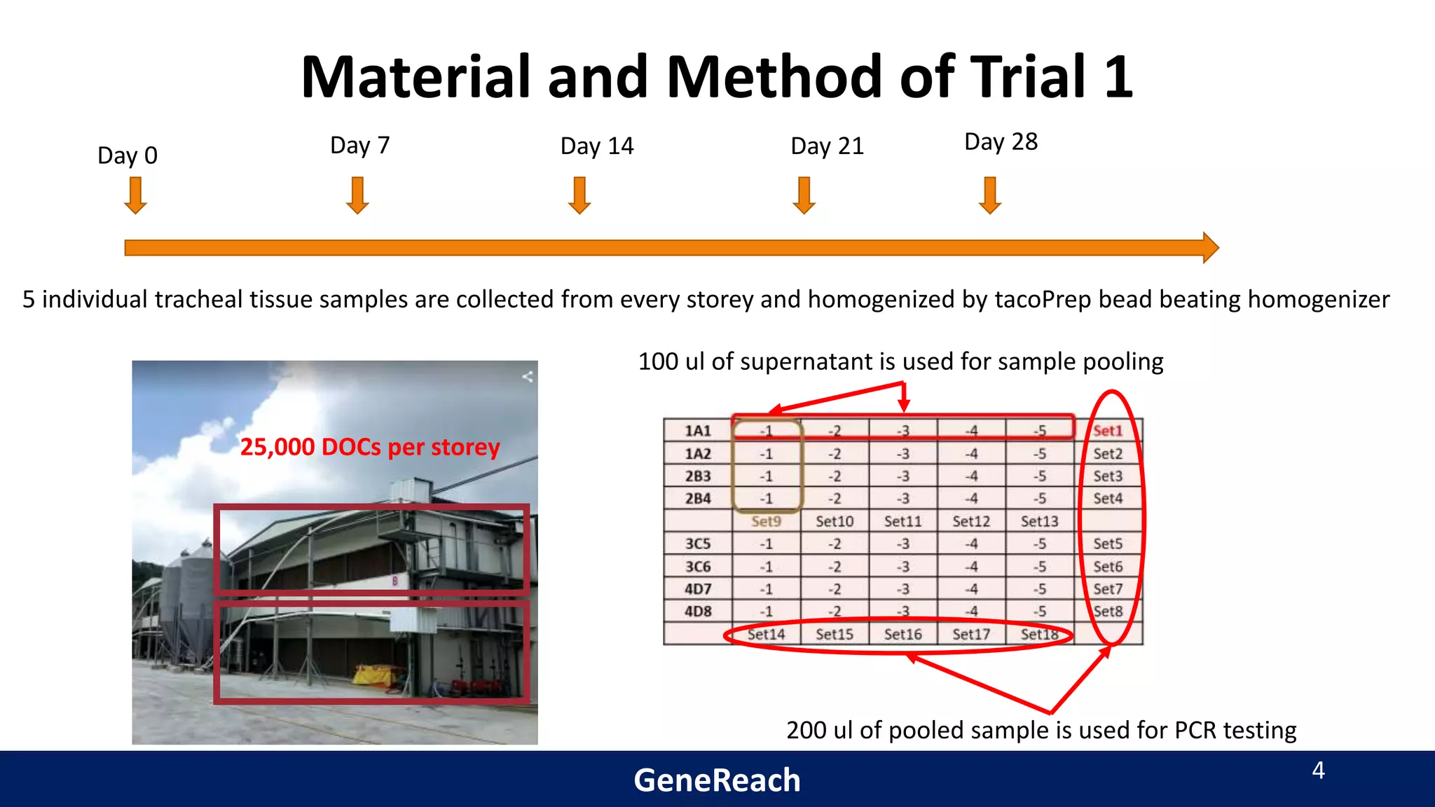 A Fully Automated POCKIT Central PCR System Detects Mycoplasma ...