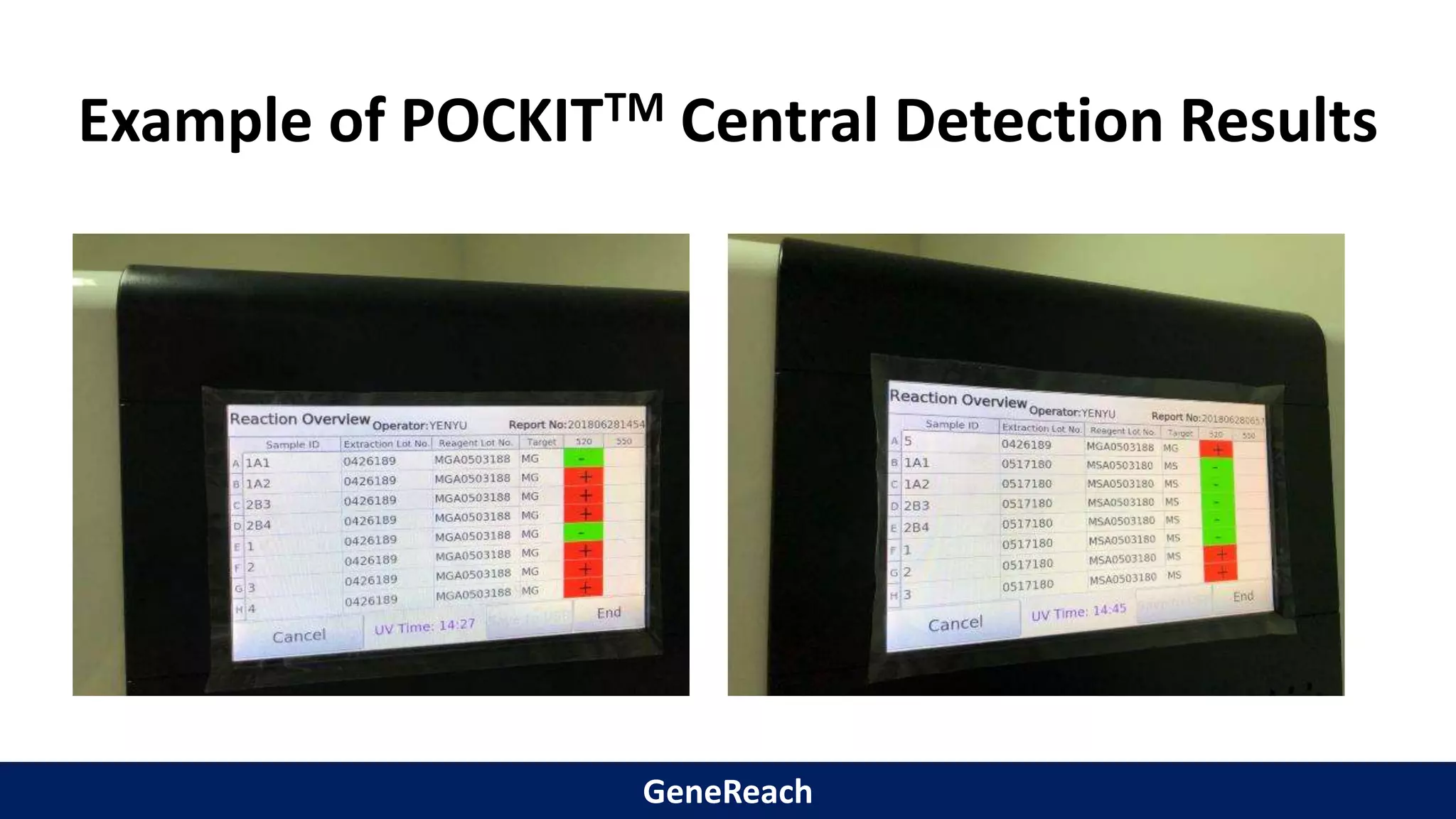 A Fully Automated POCKIT Central PCR System Detects Mycoplasma ...