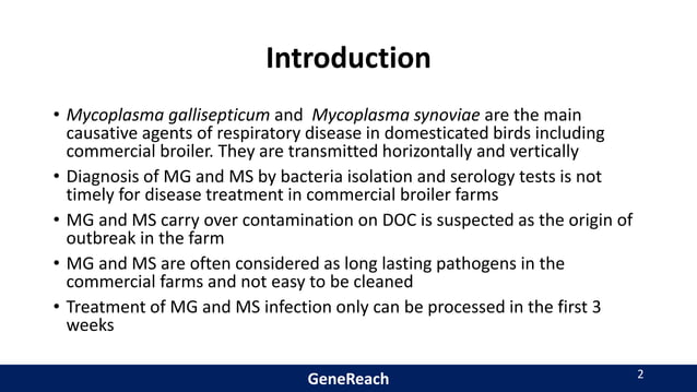 A Fully Automated POCKIT Central PCR System Detects Mycoplasma ...
