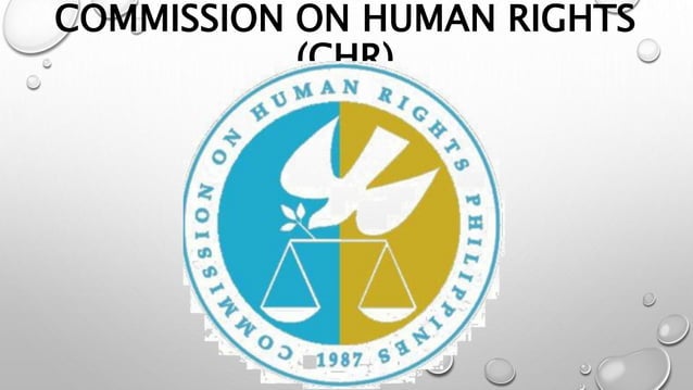 Mga organisasyon na nagtataguyod ng karapatang pantao | PPTX