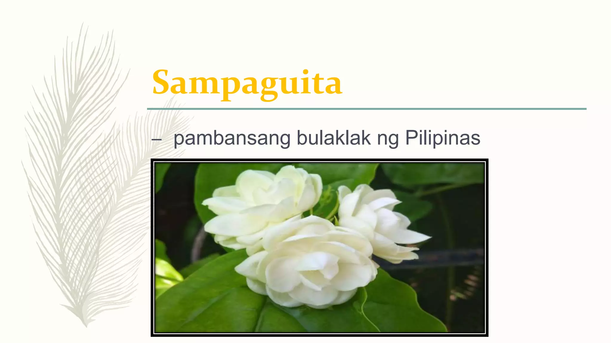 Mga Pambansang Sagisag ng Pilipinas | PPTX
