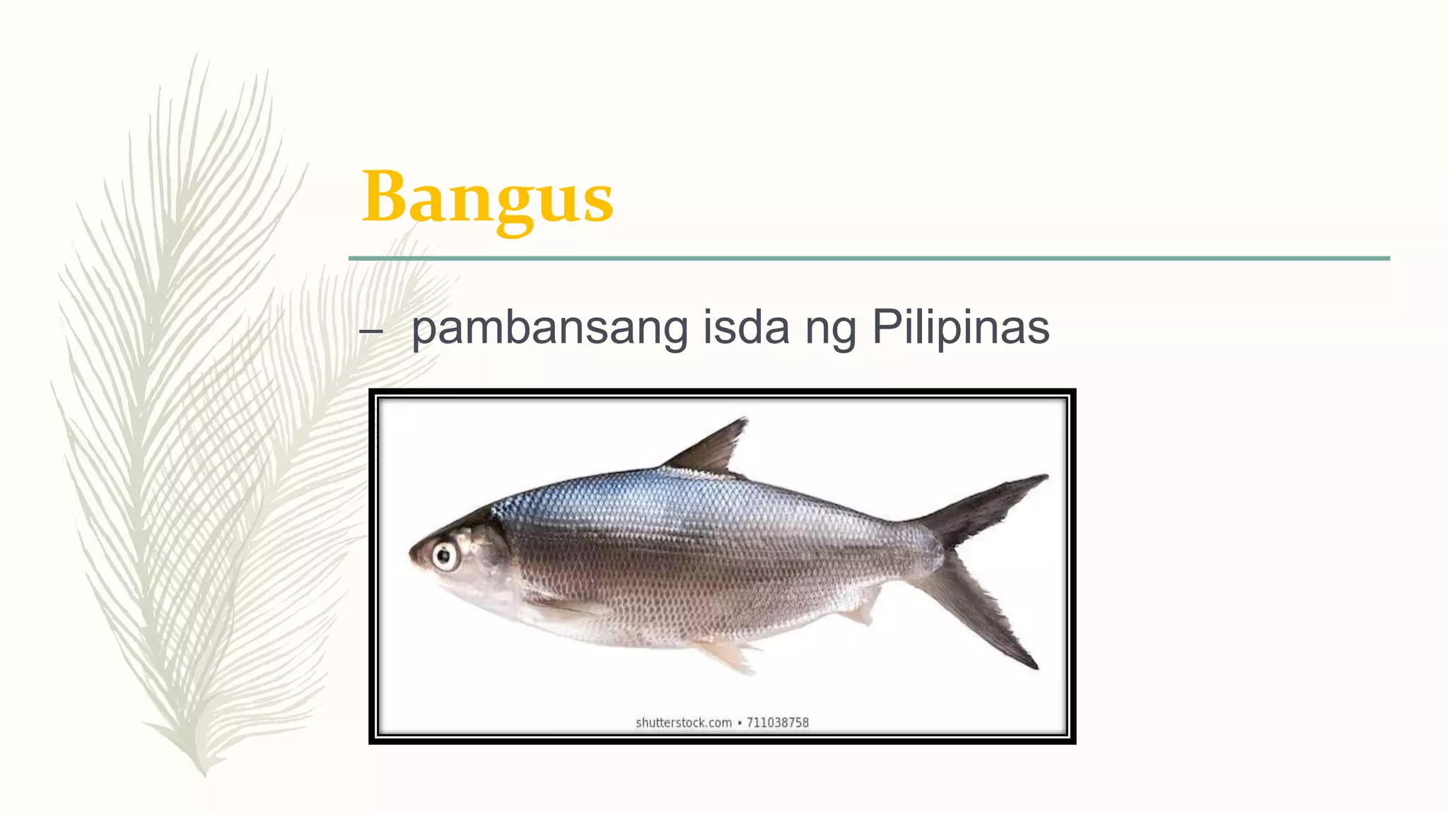 Mga Pambansang Sagisag ng Pilipinas | PPTX