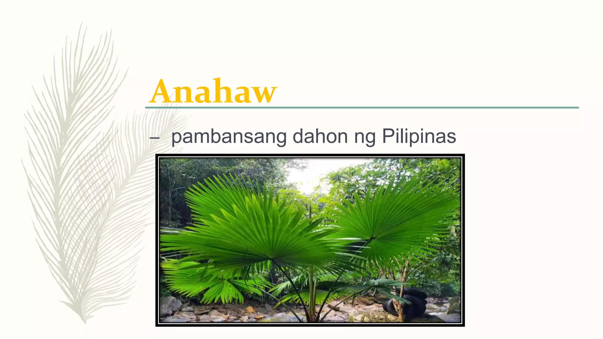 Mga Pambansang Sagisag ng Pilipinas | PPTX
