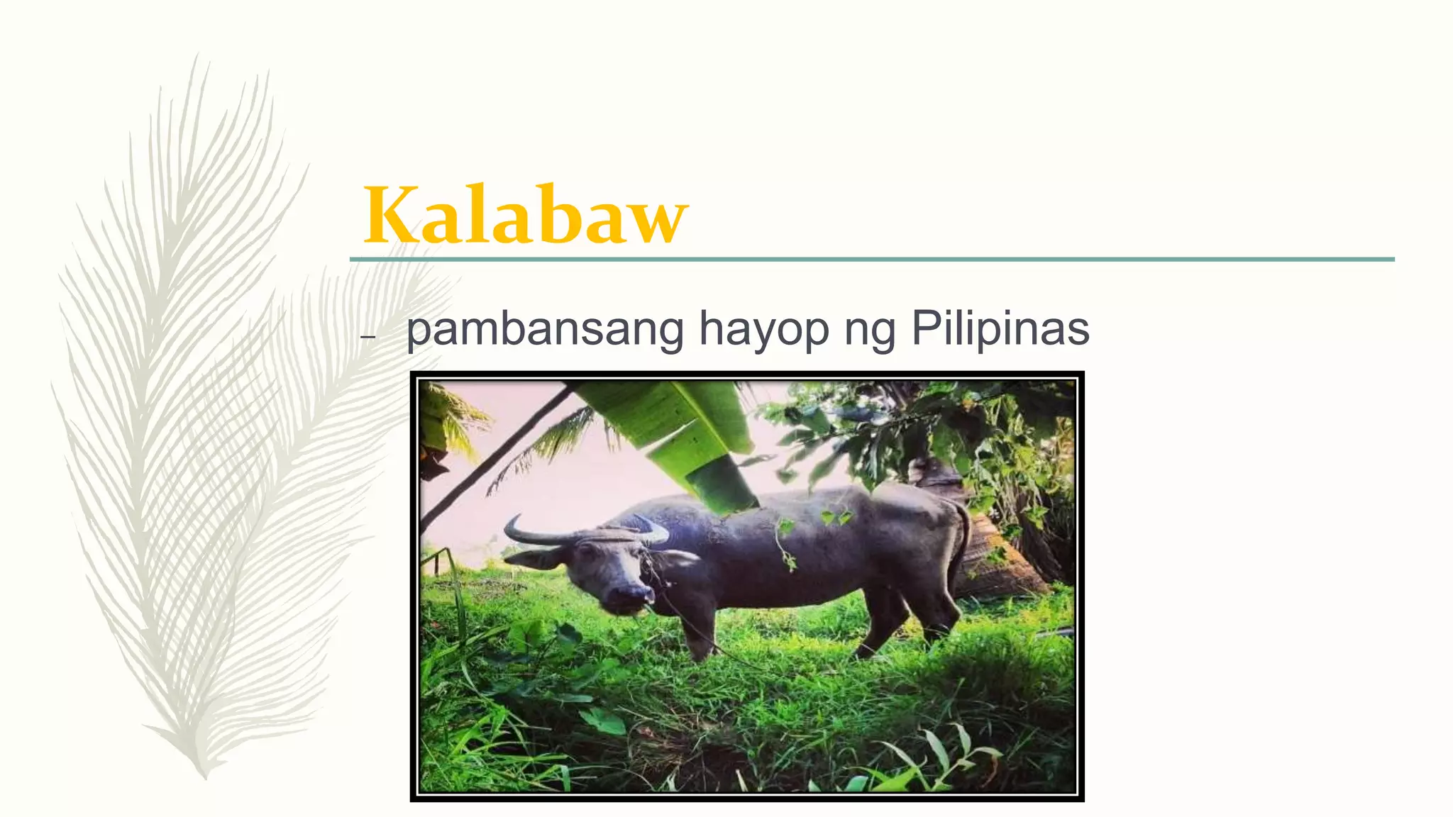 Mga Pambansang Sagisag ng Pilipinas | PPTX