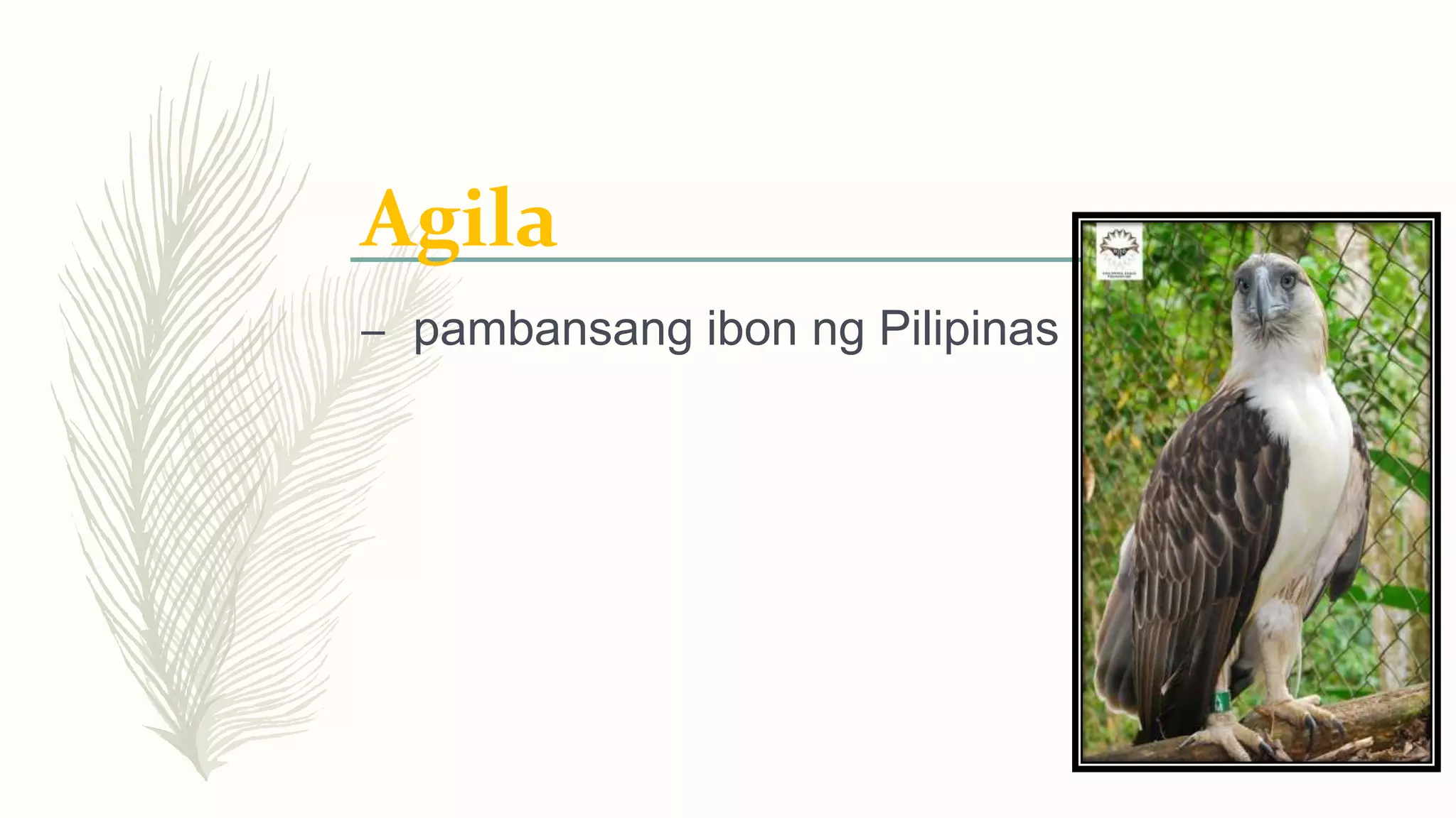 Mga Pambansang Sagisag ng Pilipinas | PPTX