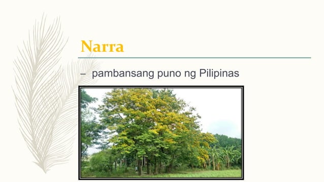 Mga Pambansang Sagisag ng Pilipinas | PPTX