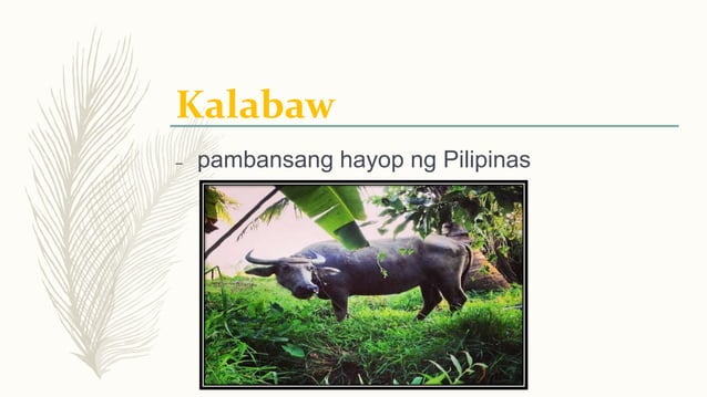 Mga Pambansang Sagisag ng Pilipinas | PPTX