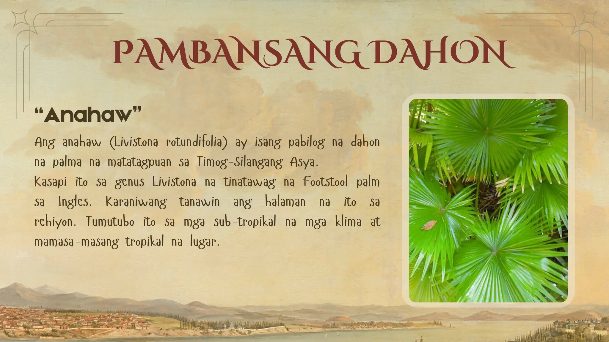 Mga Pambansang Sagisag ng Pilipinas_Aseñas Cleofe_BSP 1A.pdf.pdf