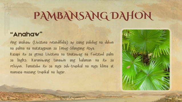 Mga Pambansang Sagisag ng Pilipinas_Aseñas Cleofe_BSP 1A.pdf.pdf