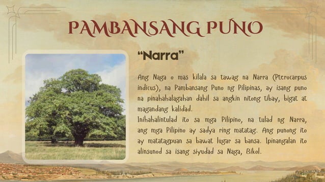 Mga Pambansang Sagisag ng Pilipinas_Aseñas Cleofe_BSP 1A.pdf.pdf