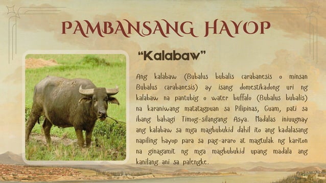 Mga Pambansang Sagisag ng Pilipinas_Aseñas Cleofe_BSP 1A.pdf.pdf