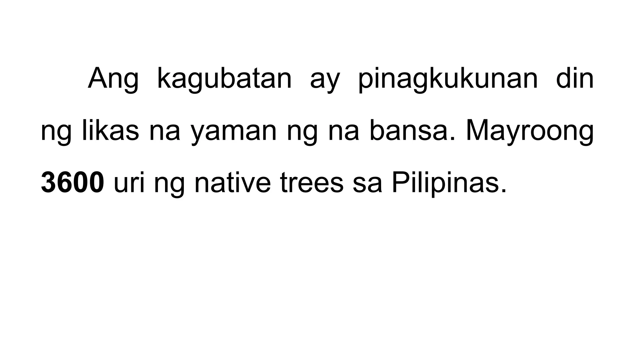 Mga Pangunahing Likas na Yaman | PPTX