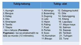 Mga Pangunahing Likas na Yaman | PPTX