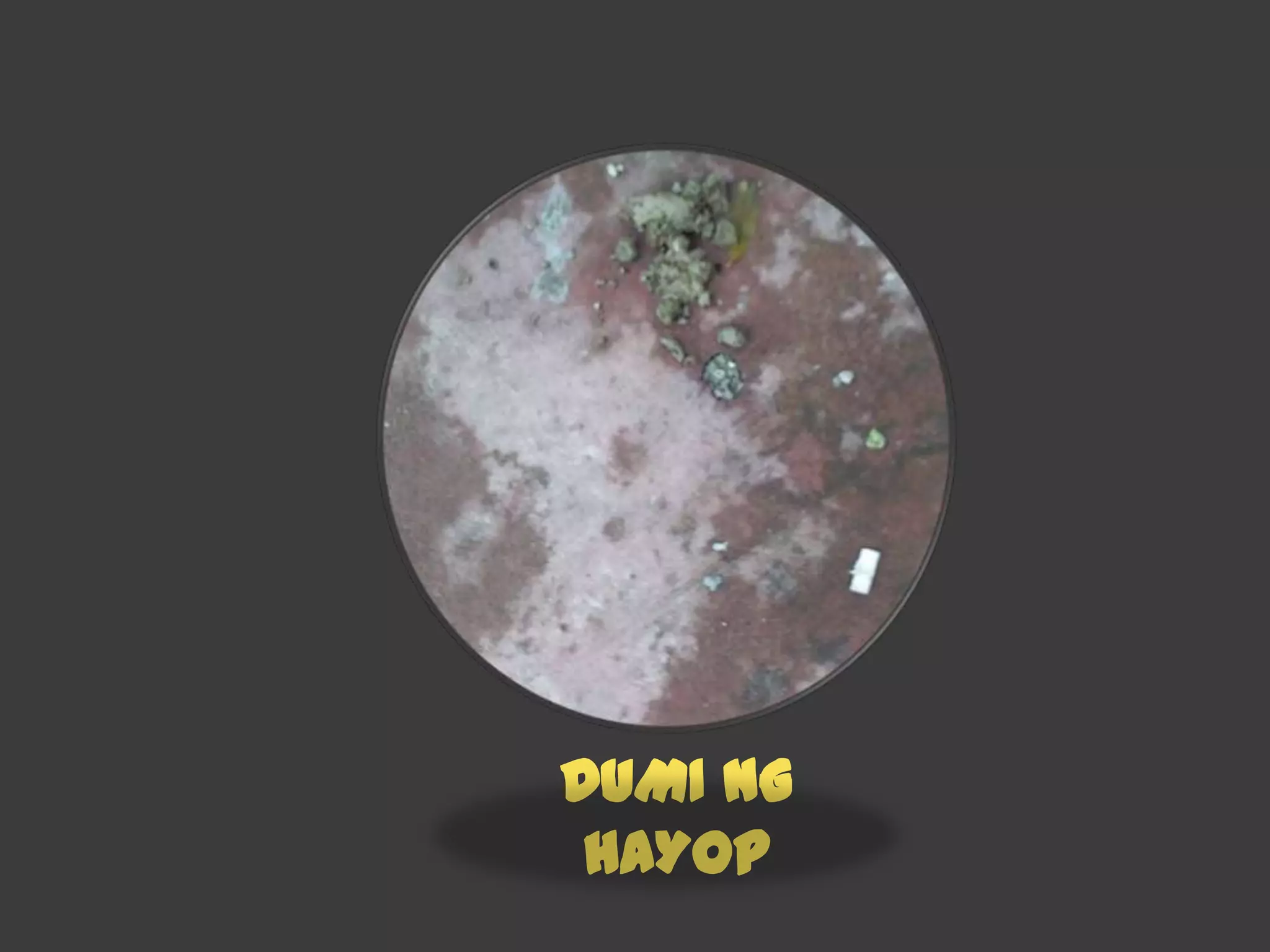 Mga pangunahing siliranin/problema sa barangay/pamayanan | PPTX