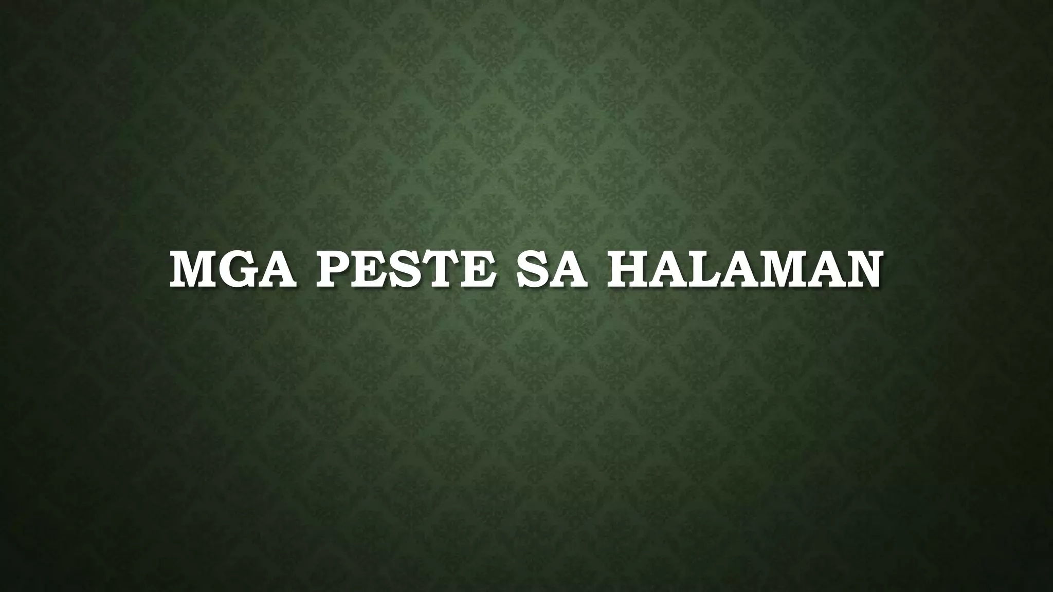Mga peste sa halaman | PPTX