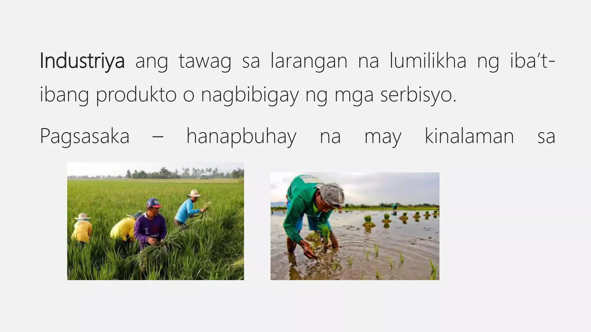 Mga produkto at kalakal sa mga lalawigan | PPTX