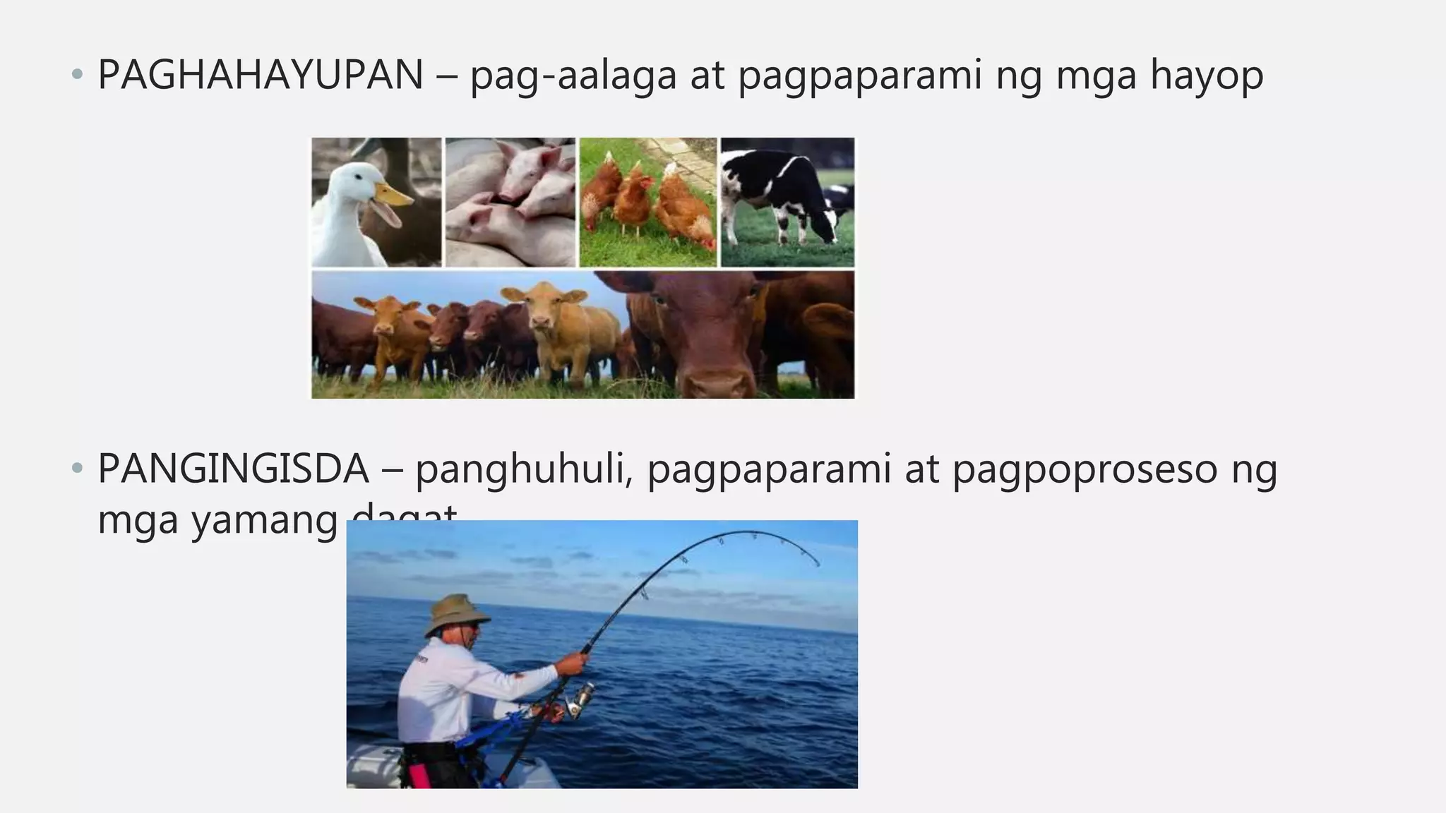 Mga produkto at kalakal sa mga lalawigan | PPTX