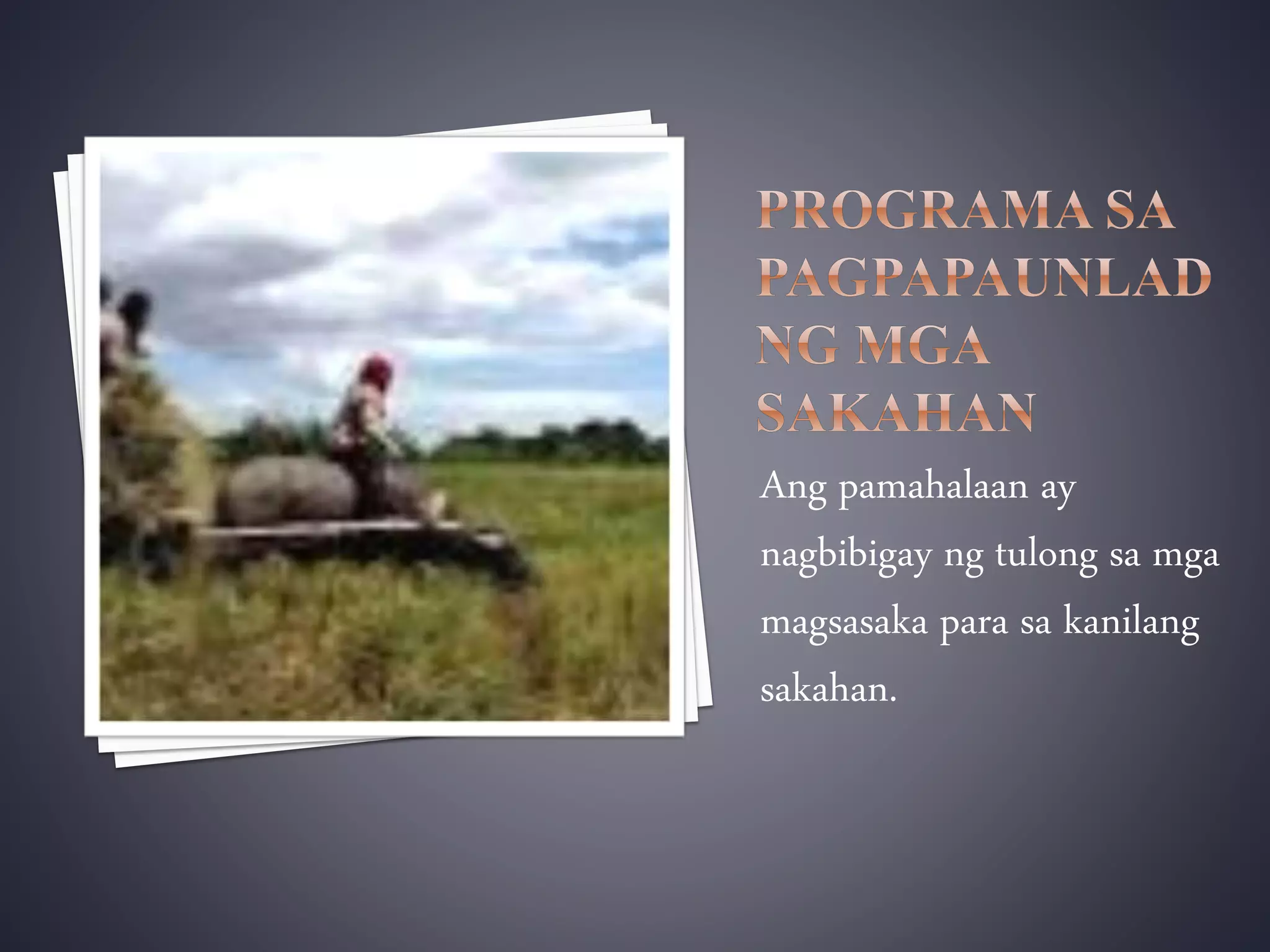 Mga programa ng pamahalaan sa pagpapaunlad ng bansa hernandez 6 srl | PPT