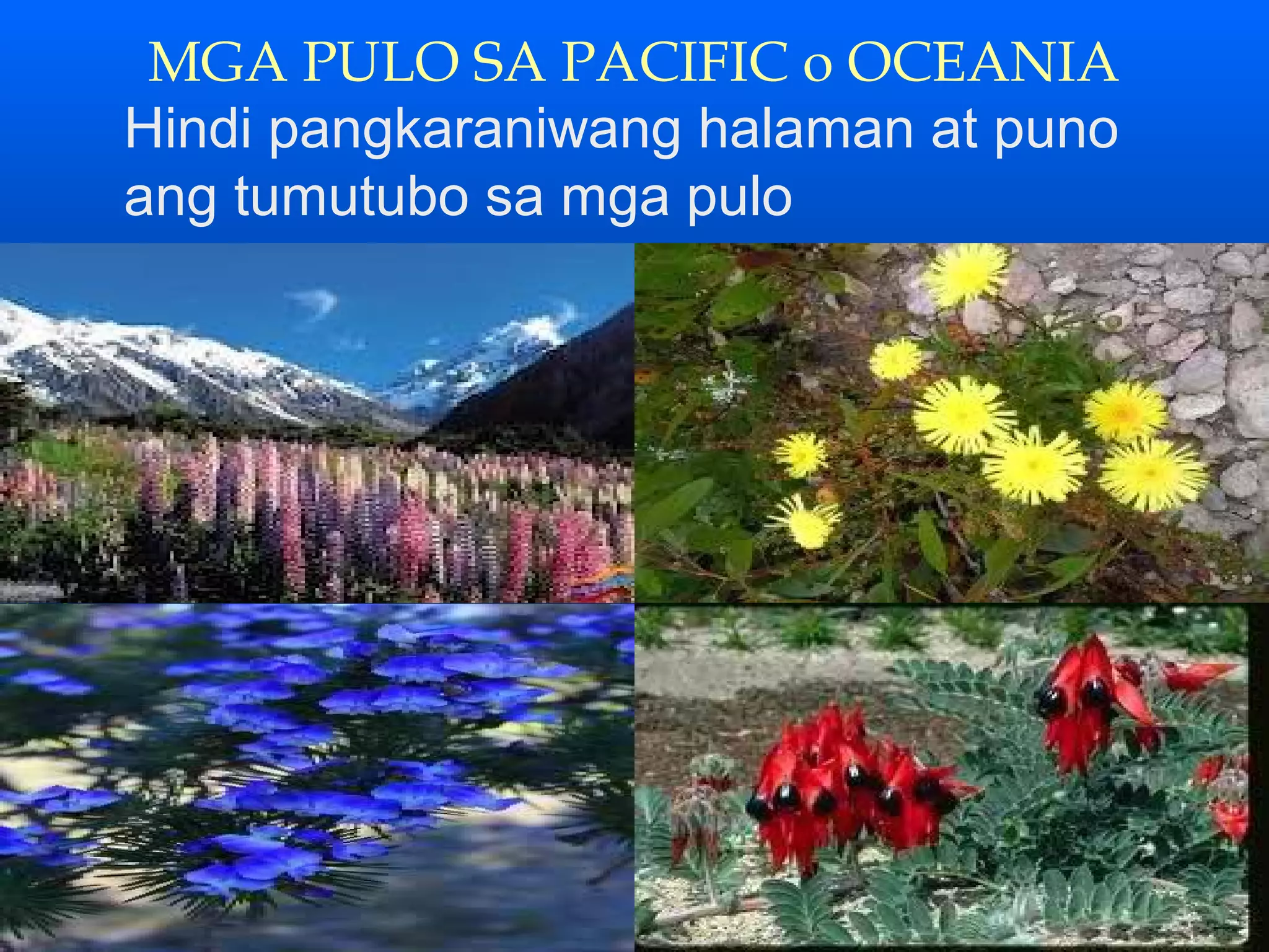 Mga pulo sa pacific | PPT