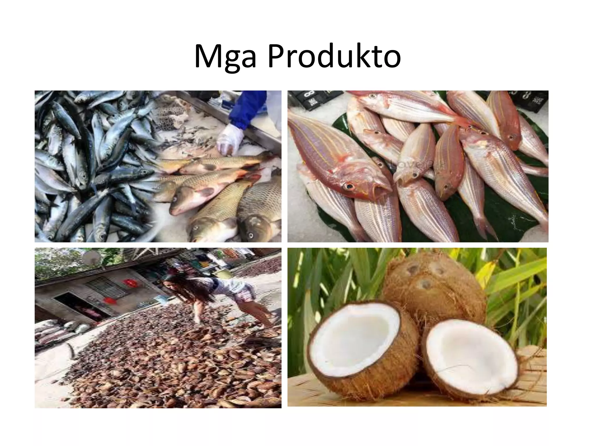 Mga rehiyon sa luzon | PPTX