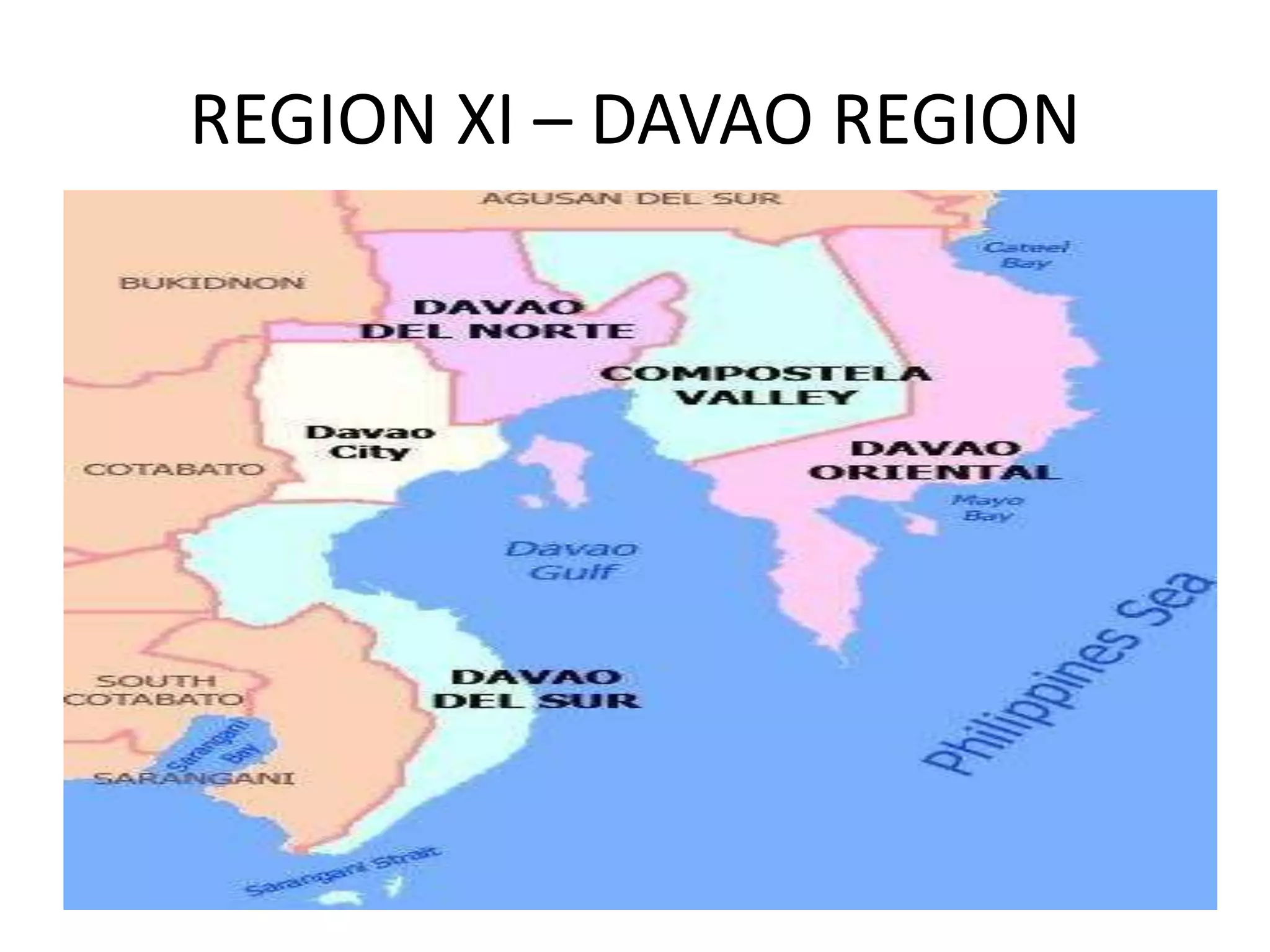Mga rehiyon sa mindanao | PPTX