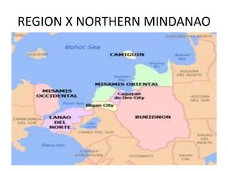 Mga rehiyon sa mindanao | PPTX