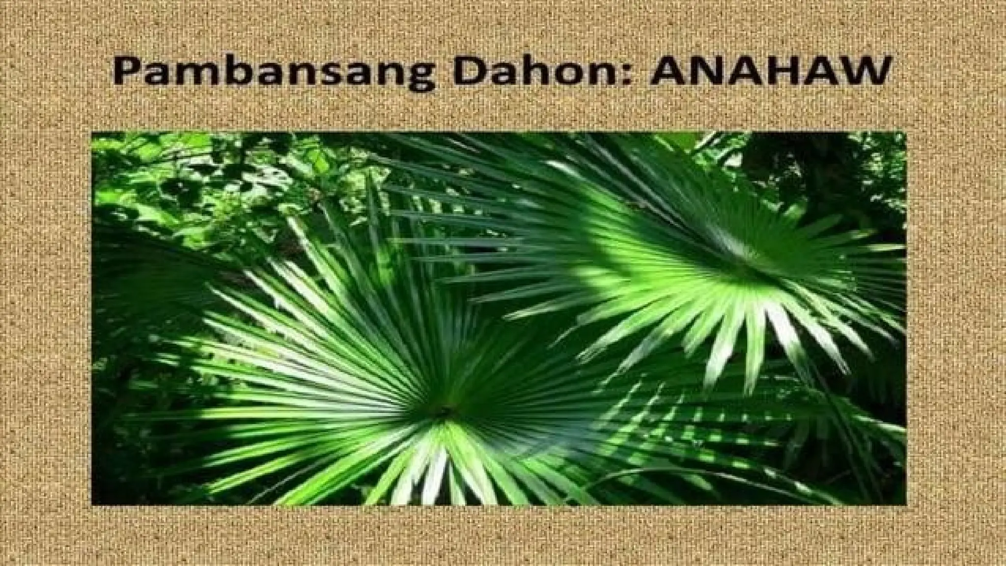 MGA SAGISAG NG BANSA.pptxfor learners in grade 5 | PPT