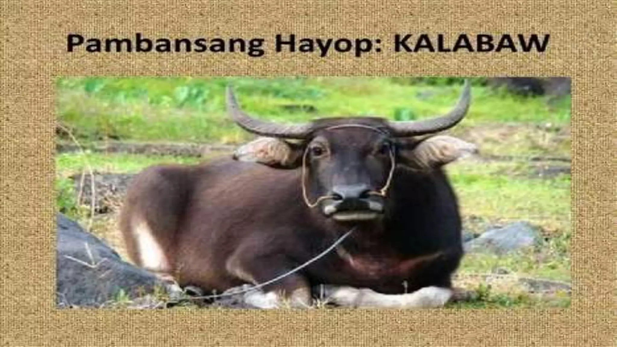 Mga sagisag ng bansang pilipinas | PPTX