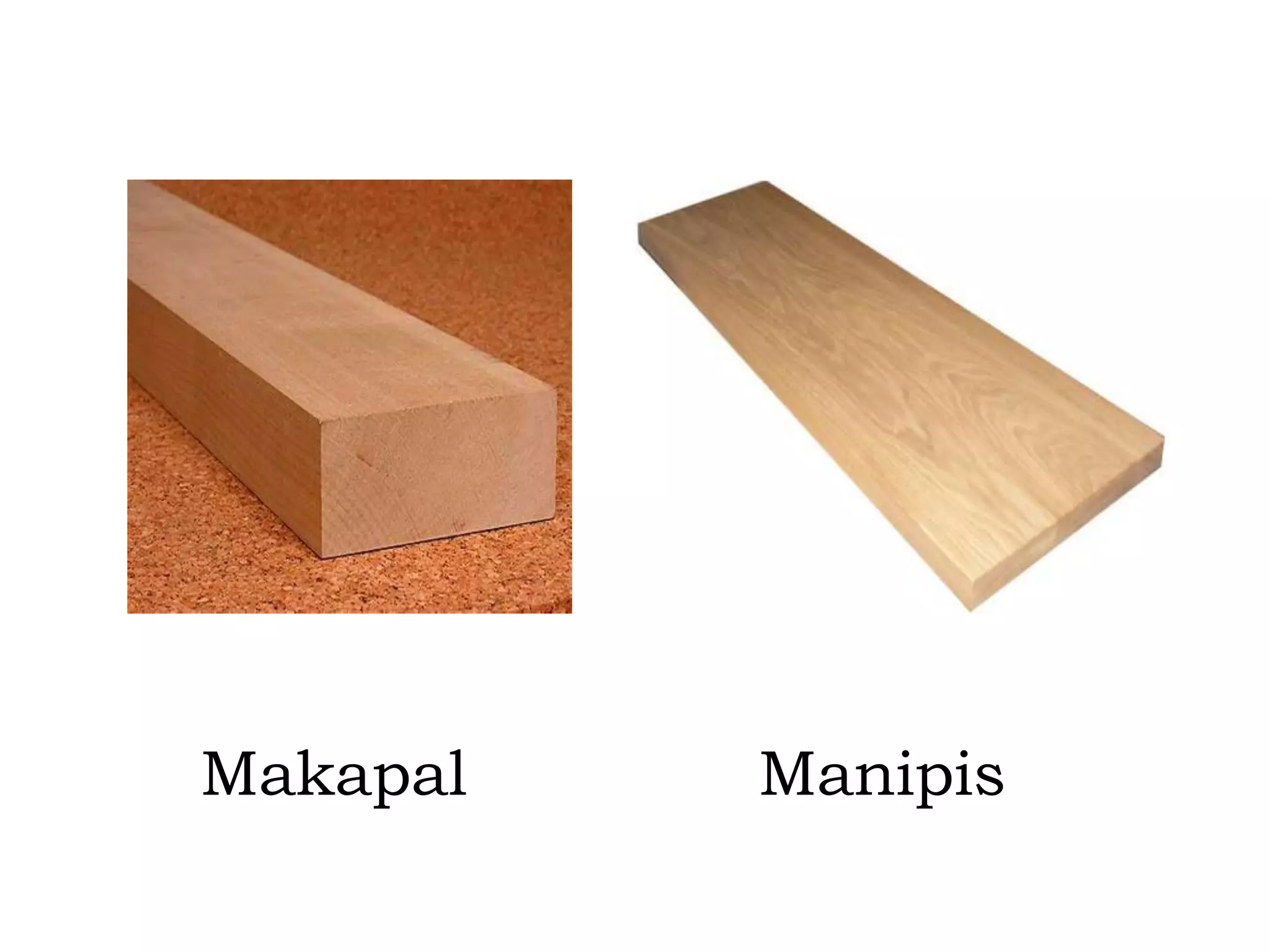 Mga salitang magkasalungat | PPTX