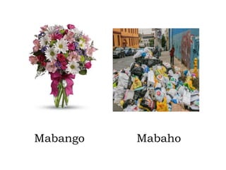 Mga salitang magkasalungat | PPTX