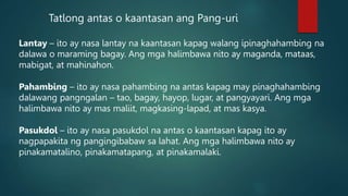MGA SALITANG NAGLALARAWAN.pptx