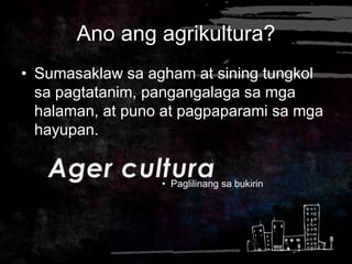 Mga sektor ng ekonomiya | PPTX