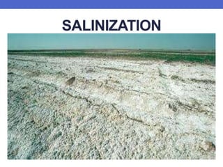 Mgasuliraningpangkapaligiranatkalagayangekolohikalngasya 111205222924 ...