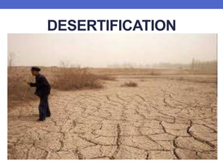 Mga suliraning pangkapaligiran at kalagayang ekolohikal ng asya | PPTX