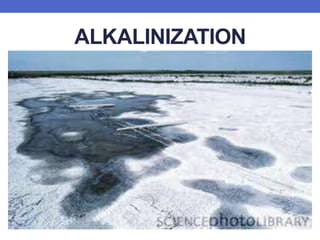 Mga suliraning pangkapaligiran at kalagayang ekolohikal ng asya | PPTX