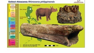 Mga Teorya ng Pagsasatao sa Pilipinas.pdf